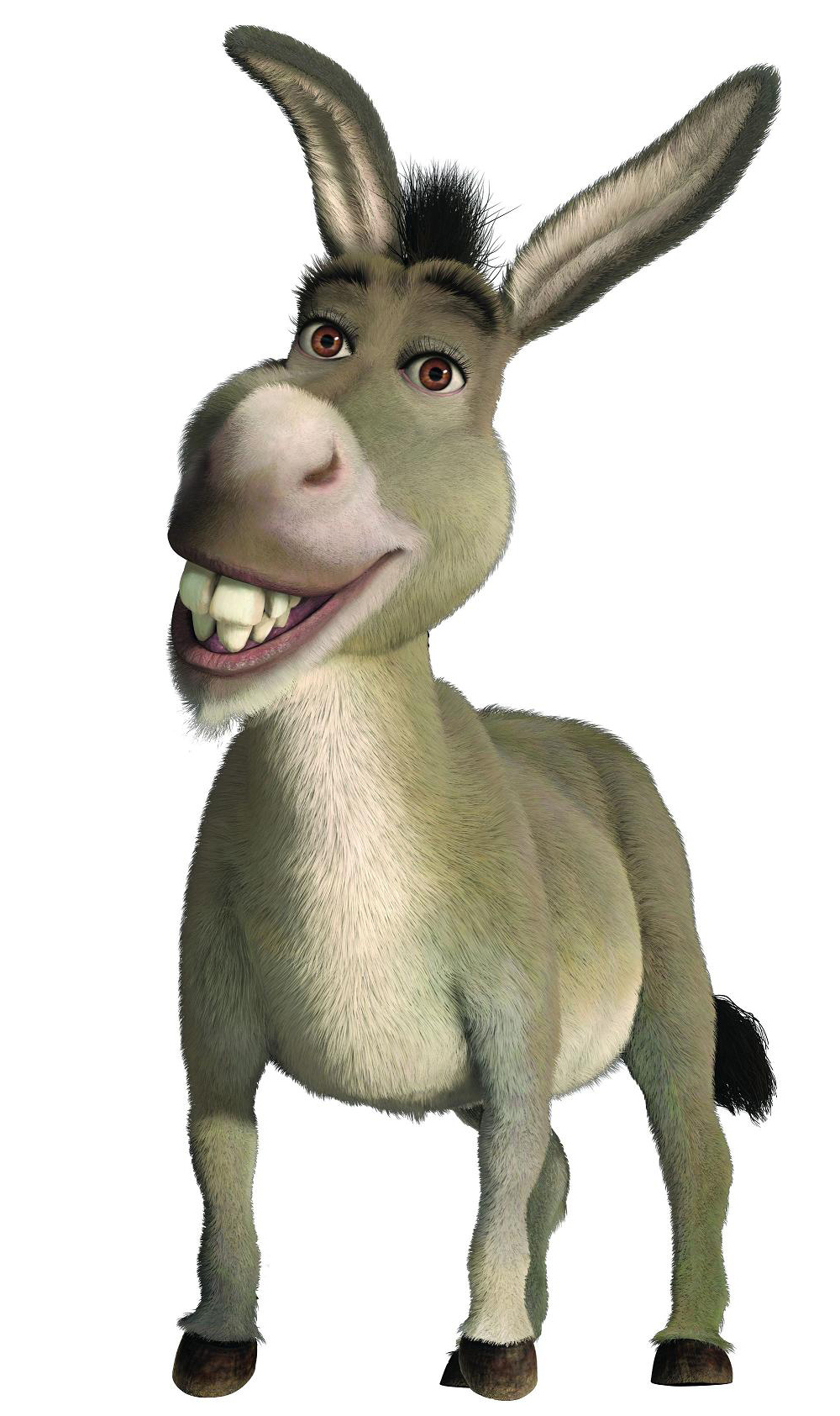 Donkey species WikiShrek The Wiki All About Shrek