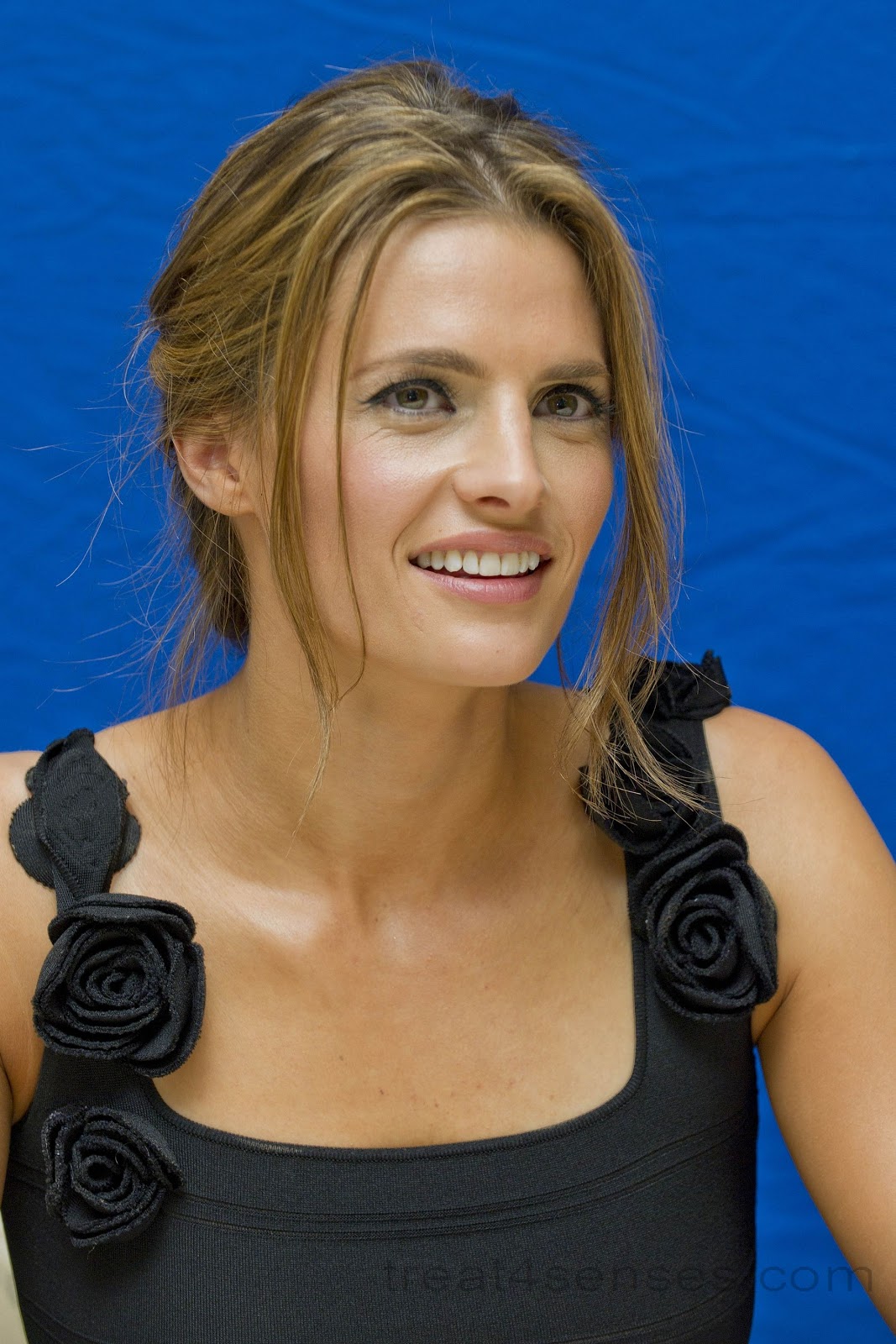 Stana Katic - Wiki Castle Stana Katic - Wiki Castle
