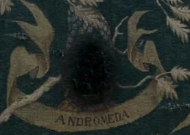 Andromeda Tonks - Harry Potter Wiki
