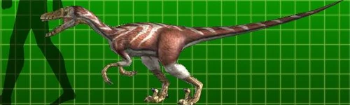 Velociraptor - Dinosaur King