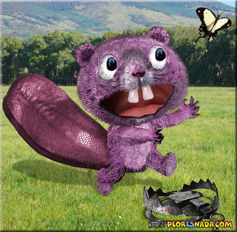 Image - Real htf toothy.jpg - Happy Tree Friends Wiki - Mondo Mini ...