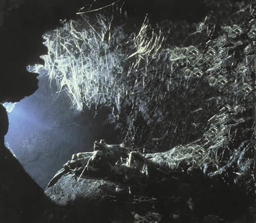 Shelob's lair - Lord of the Rings Wiki