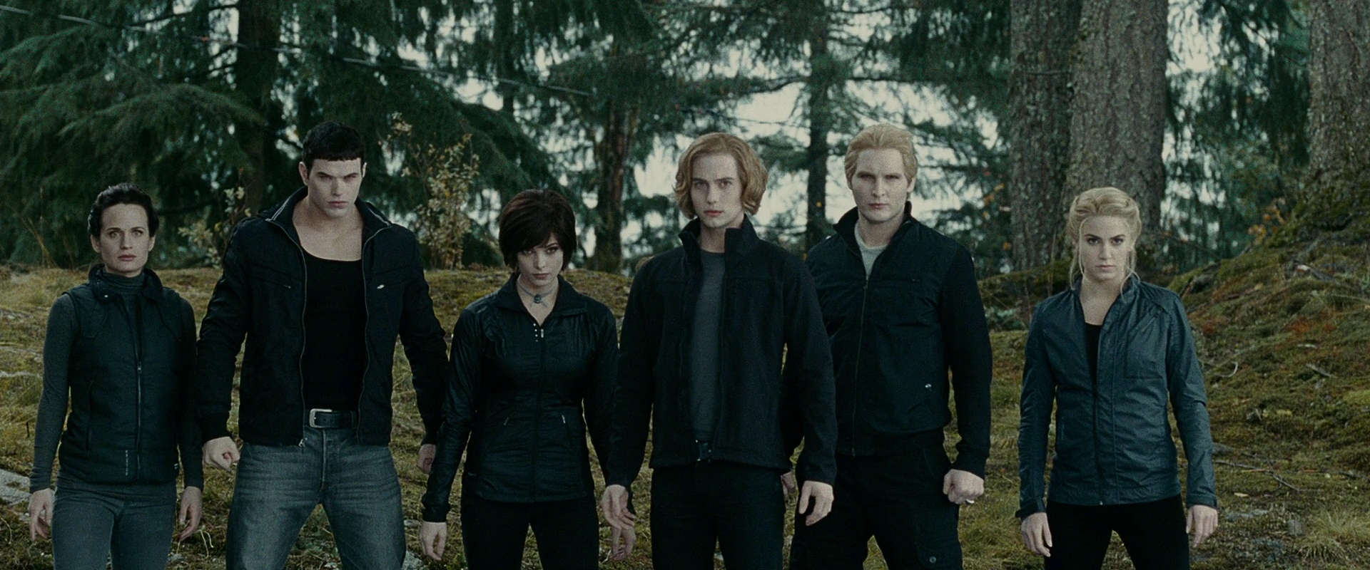 Newborn army battle - Twilight Saga Wiki