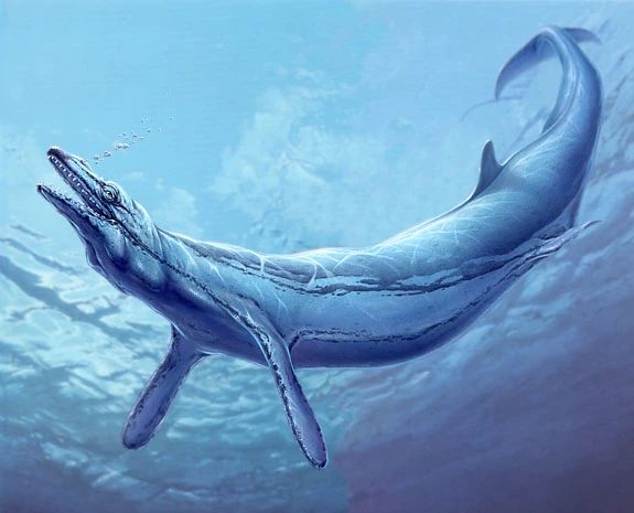 Basilosaurus - Prehistoric Earth Wiki