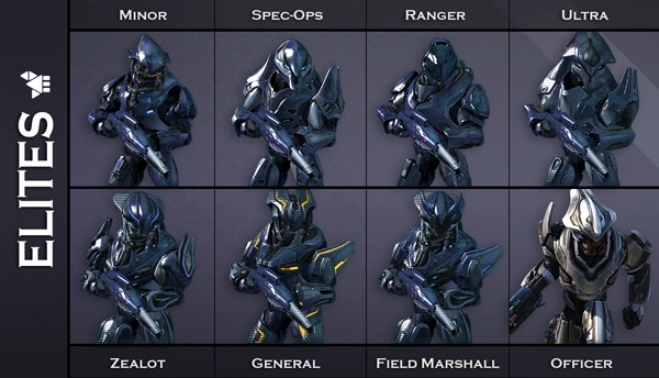 Sangheili - Halopedia
