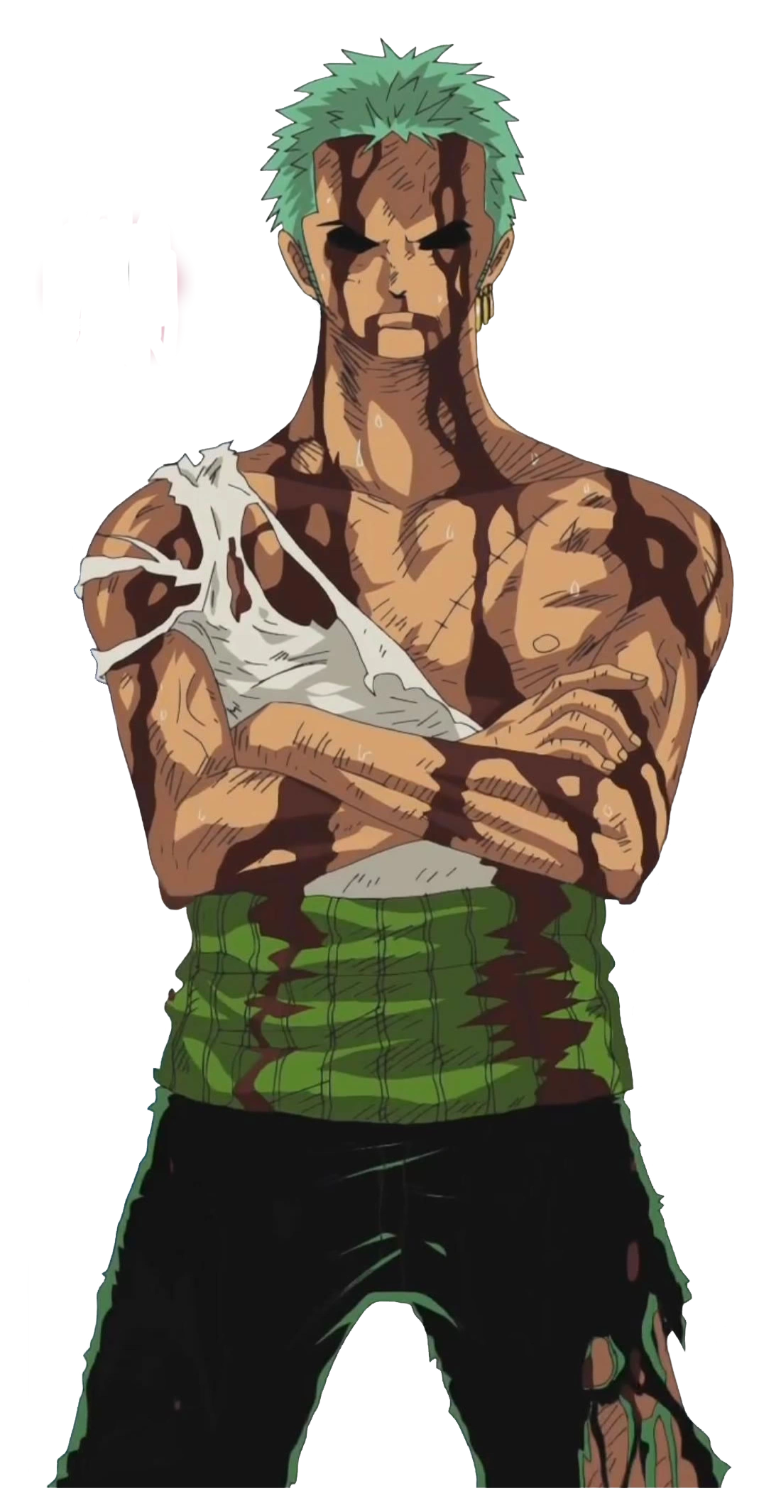 Roronoa Zoro - Virtual Arena Wiki