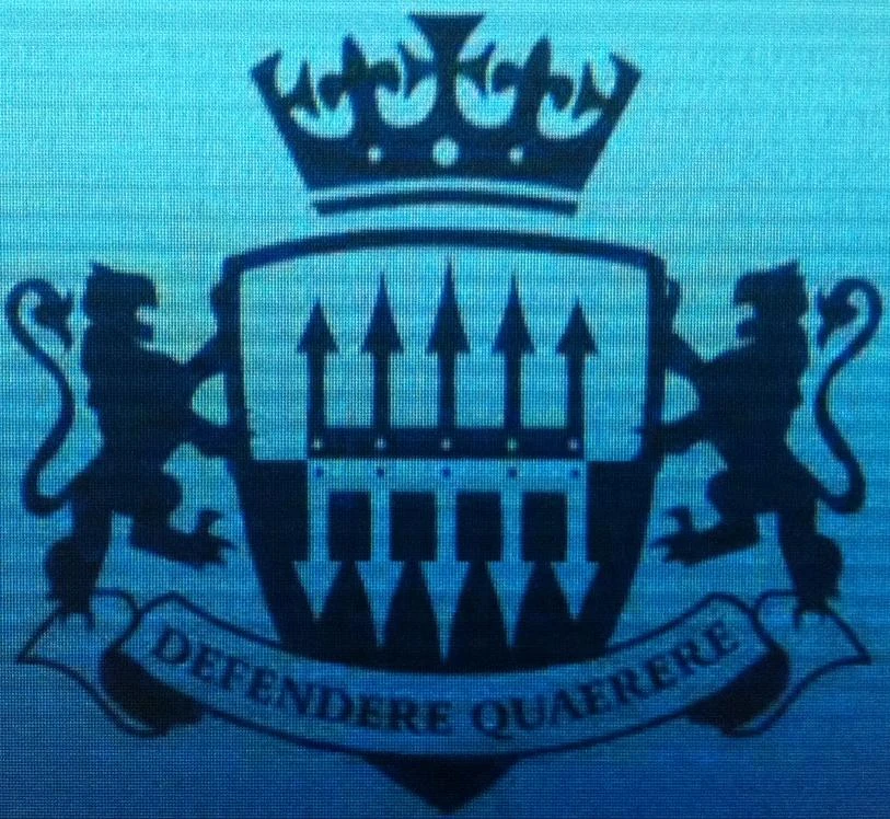 [REQUEST] Strike Back 'Section 20' logo : r/bf4emblems