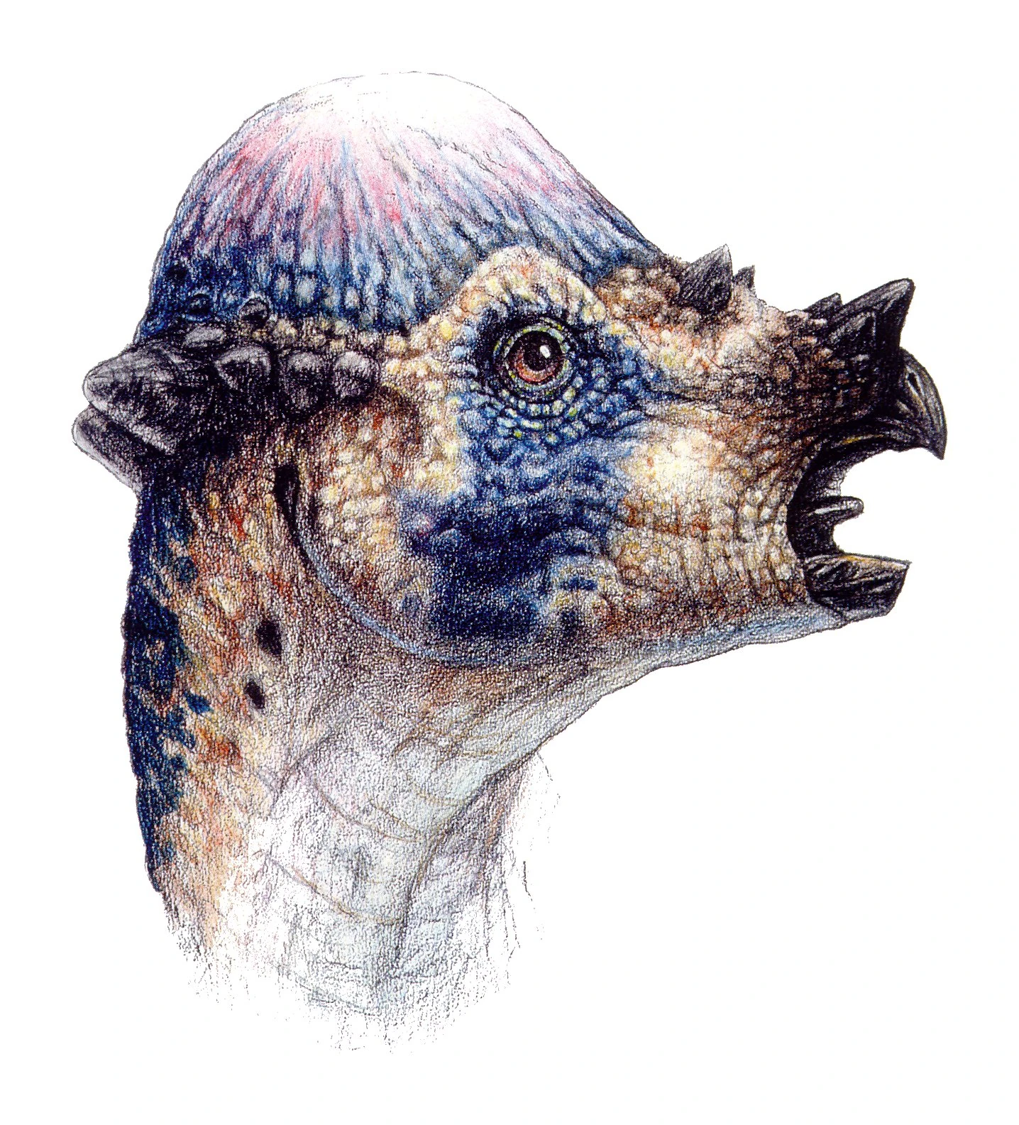 Pachycephalosaurus - Jurassic Park Wiki