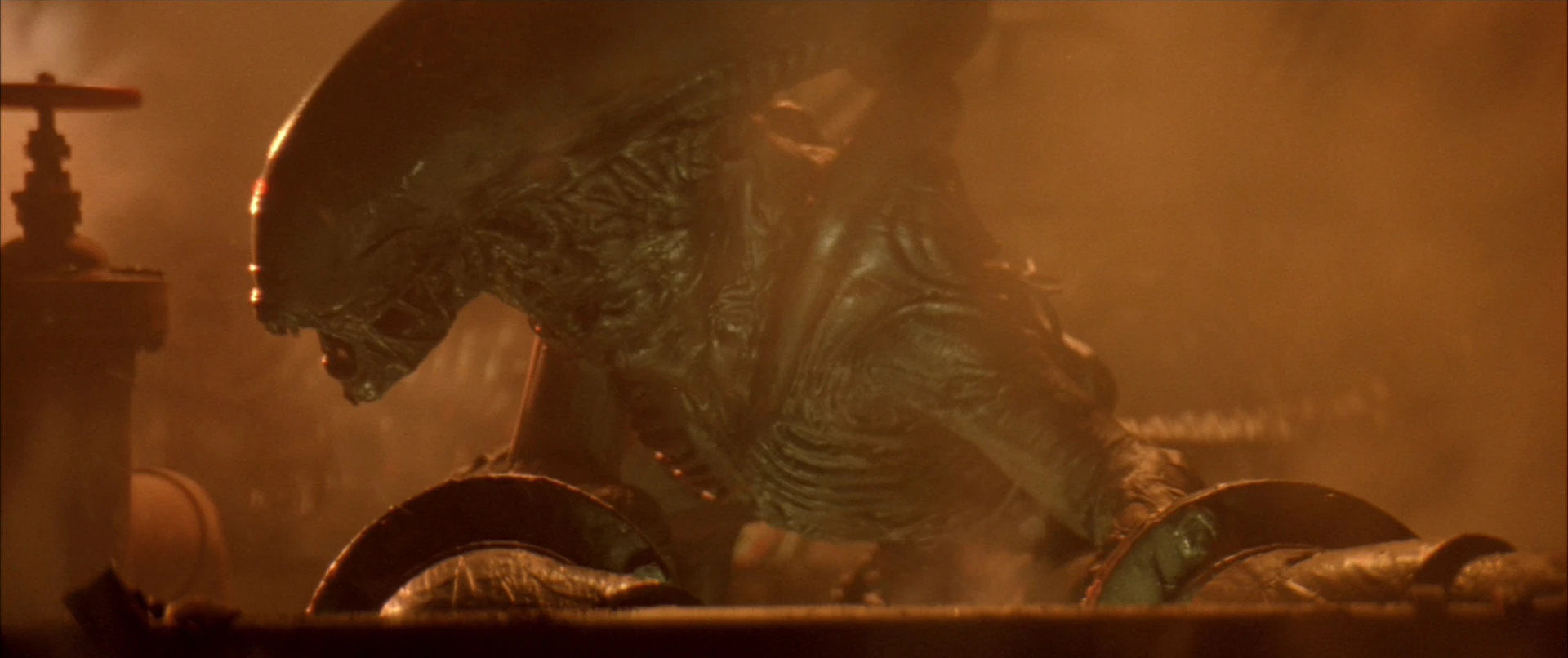 Runner - Alien Anthology Wiki - The Alien and Prometheus resource