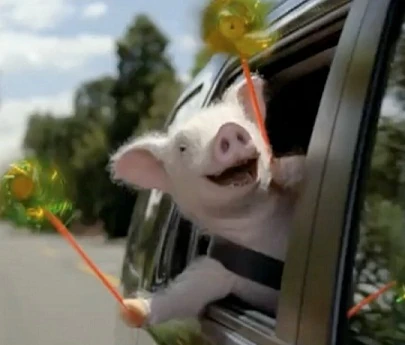 Maxwell the Geico Pig - Comedy World by Youtube Wiki