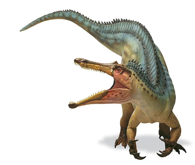Baryonyx - Wiki Prehistórico