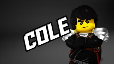 Cole | Wiki Lego Ninjago | Fandom