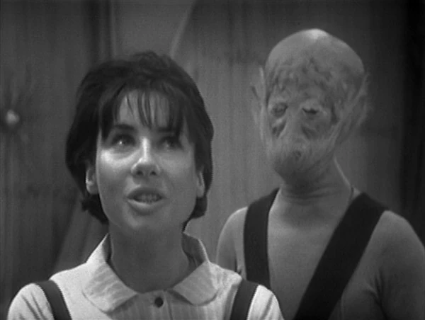 Susan Foreman the 3rd regeneration., About Susan