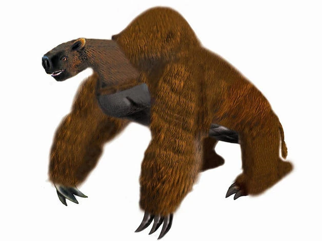 Mapinguari - Cryptid Wiki
