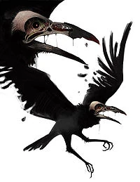 Crebain - Lord of the Rings Wiki