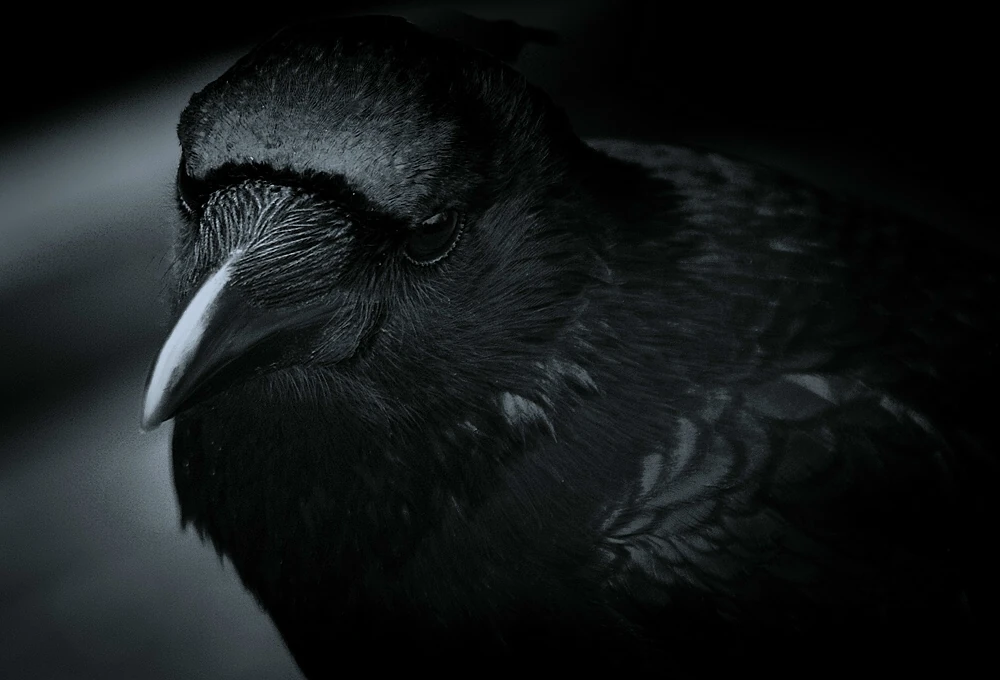 Prodigies appear in the oddest of places