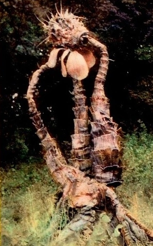 Triffids from Day of the Triffids! The man eating space plants come to ...