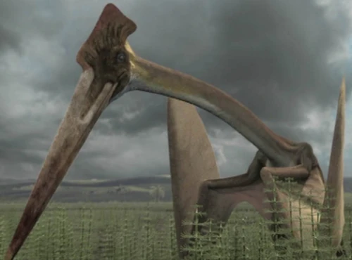 Hatzegopteryx - Planet Dinosaur Wiki