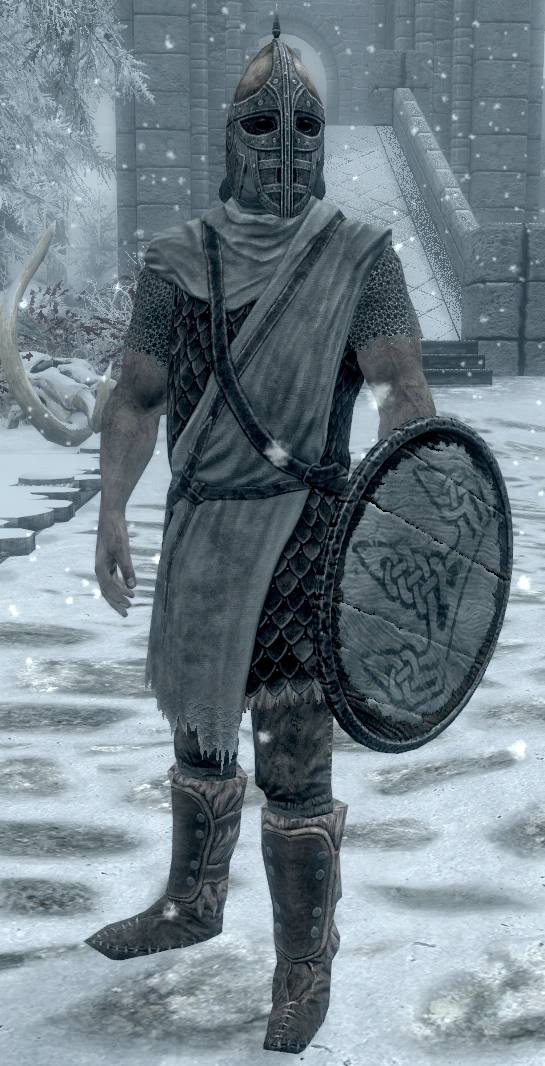 Trying to find a good armour set for my character : r/skyrim