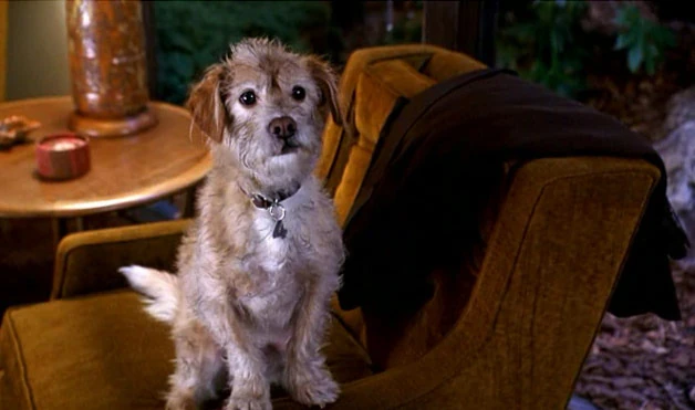 Anchorman Quotes Baxter