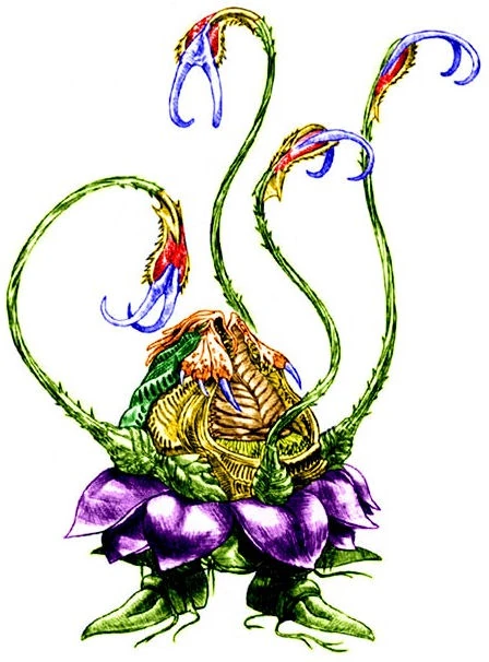 [Let's Read] AD&D 2e Monstrous Manual [Part IV, Orc~?] | Dungeons ...