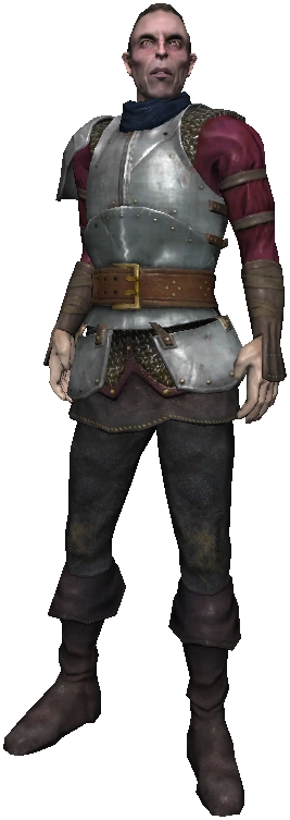 The Witcher/Traditional Medieval outfits - Mod Ideas - Nexus Mods Forums